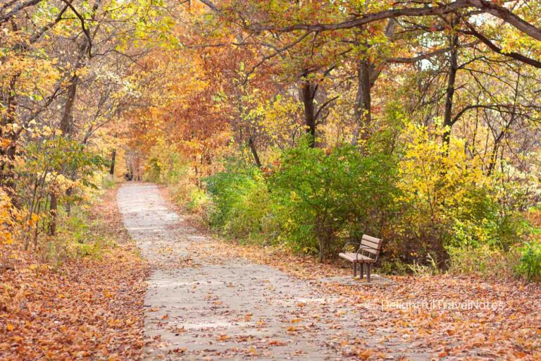 Best Places to See Fall Colors in Illinois - Delightful Travel Notes