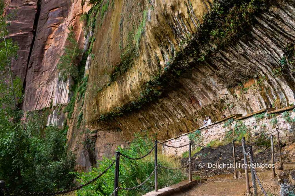 10 Essential Tips to Avoid The Crowds & The Heat at Zion National Park ...