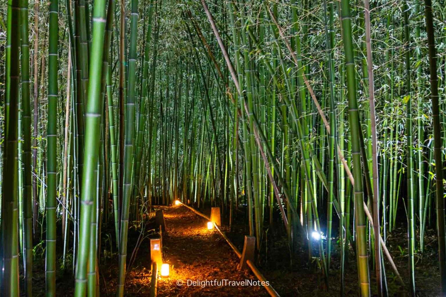 Bamboo Groves to Visit in Kyoto (and Alternatives to Arashiyama Bamboo ...