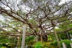 Beautiful Photo Spots in Kanazawa - Delightful Travel Notes