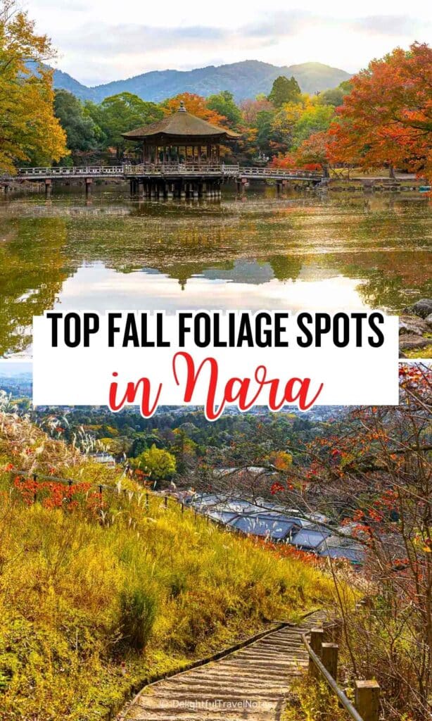Beautiful Fall Foliage Spots in Nara City - Delightful Travel Notes