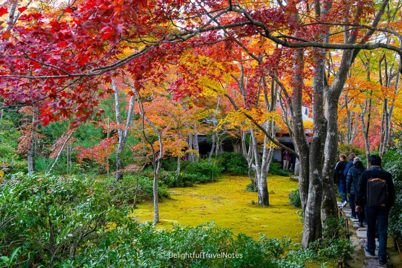 Fall Foliage at Okochi Sanso Garden in Kyoto - Delightful Travel Notes